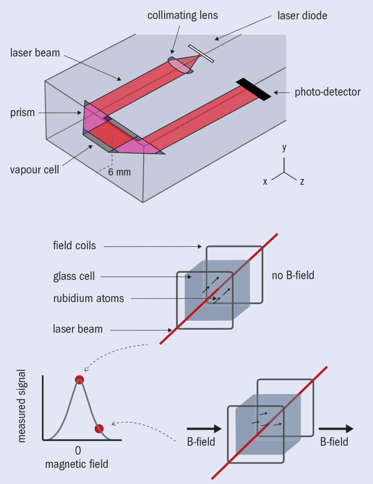Quantum physics gives brain-sensing MEG scanners a boost – Physics World