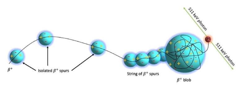 Positrons possess unexplored potential for cancer therapy – Physics World