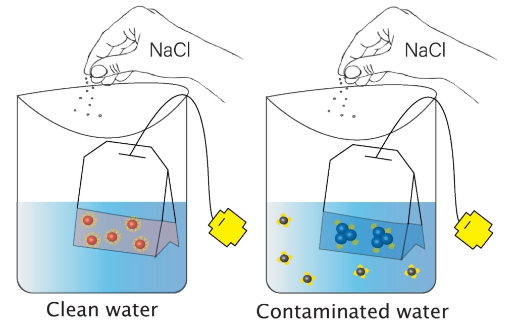Water Archives – Physics World