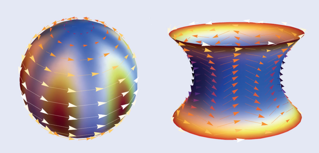 It’s topology, naturally – Physics World