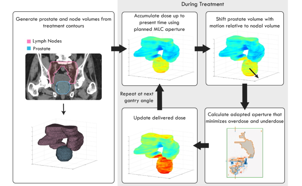 Best in physics: dose-optimized MLC tracking and radio-immunotherapy ...