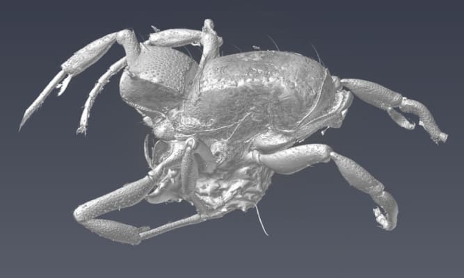 Photo captures the subtleties of the magnetic Sun, synchrotron will ...