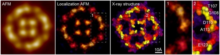 Biomolecules imaged at record-breaking resolution using localization ...