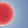 Photo captures the subtleties of the magnetic Sun, synchrotron will ...