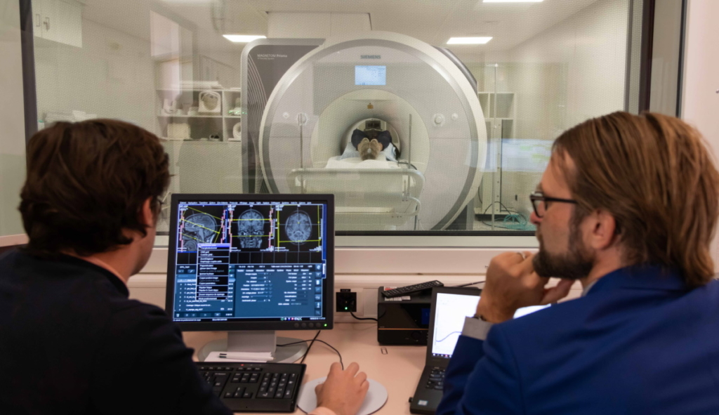 Mouse brain imaging reaches record-breaking resolution – Physics World