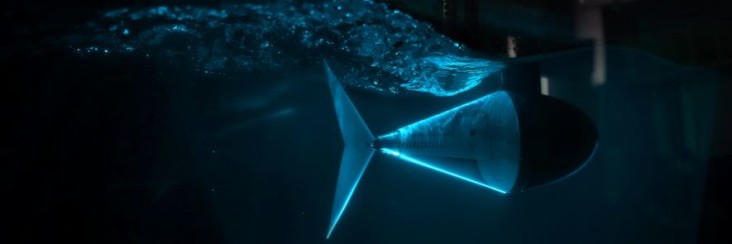 ‘Tunable tuna’ makes a better robotic swimmer – Physics World