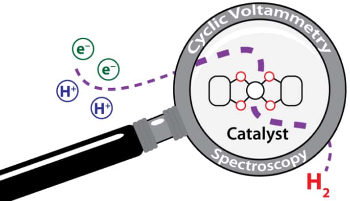 How molecular catalysts mediate the electrochemical generation of fuels ...