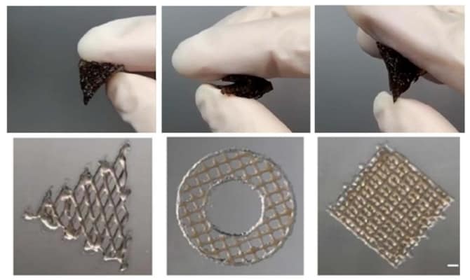 Researchers use 3D printing to grow full-thickness skin in the lab ...