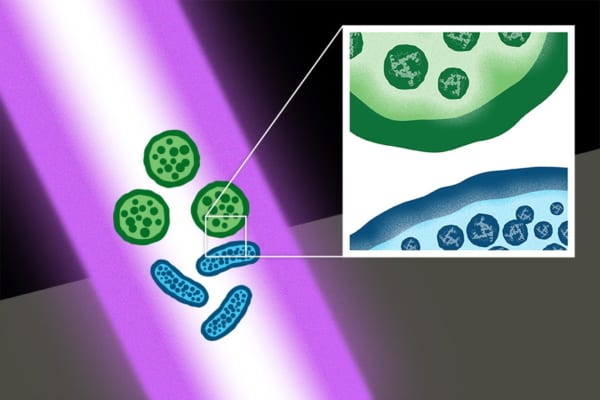 Laser pulses light the way towards killing antibiotic-resistant ...