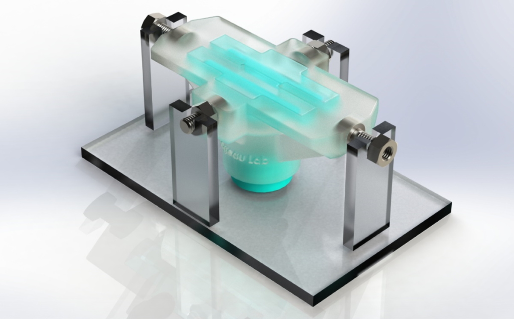 Biofabrication Archives – Physics World