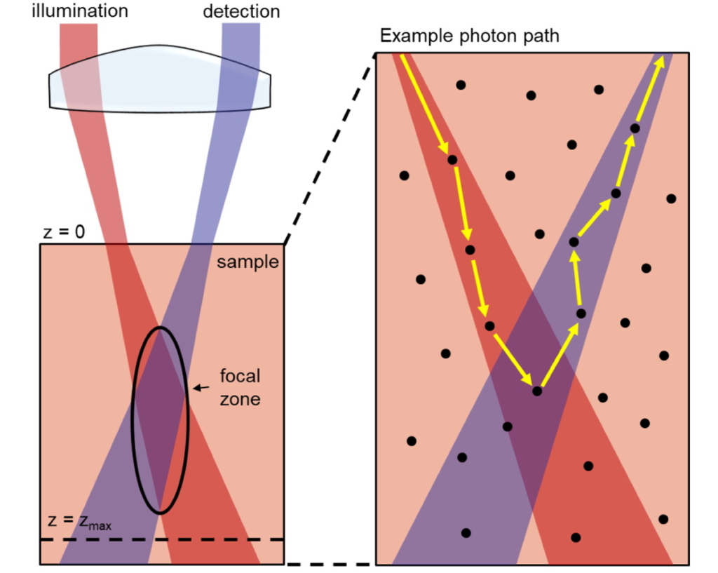 Angled light beams allow OCT to image deeper into skin – Physics World