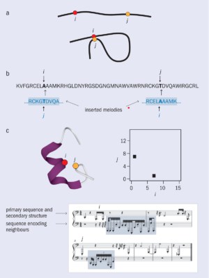Sonifying science: from an amino acid scale to a spider silk symphony ...
