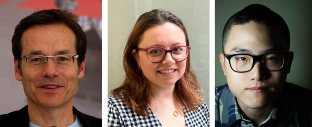 MR-guided magnetic seeds seek, heat and destroy tumours – Physics World