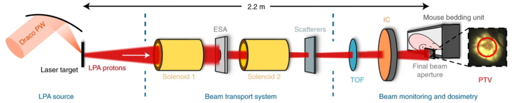 Laser plasma accelerators unlock potential for radiobiology studies ...