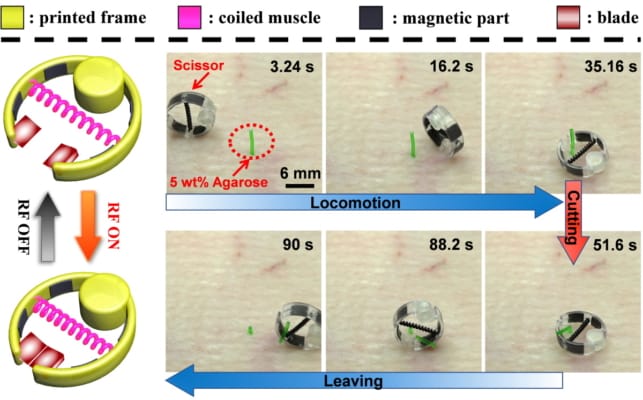 Soft medical robots show promise for performing wireless surgery ...