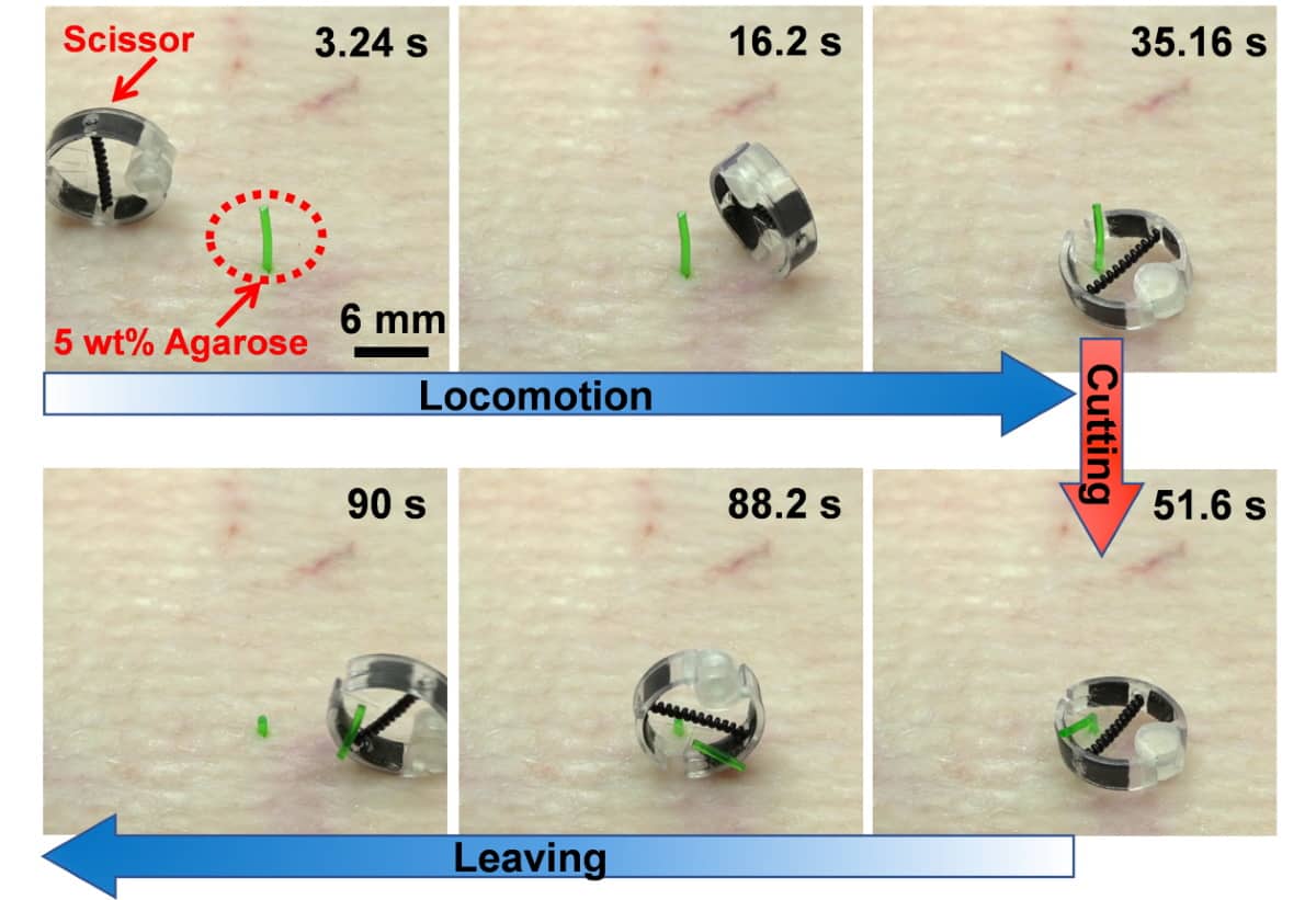 Soft medical robots show promise for performing wireless surgery ...