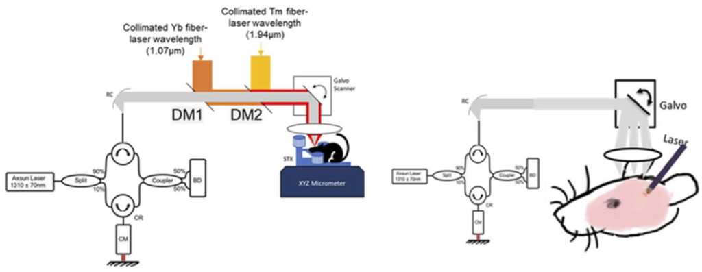 Dual-wavelength fibre-laser platform enables bloodless brain surgery ...