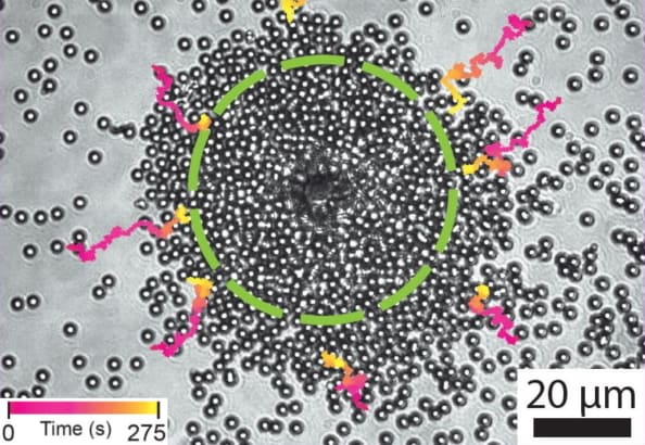 Atom lasers – Physics World