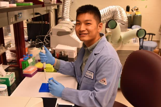 Engineered DNA nanotubes form tiny pipes into cells – Physics World