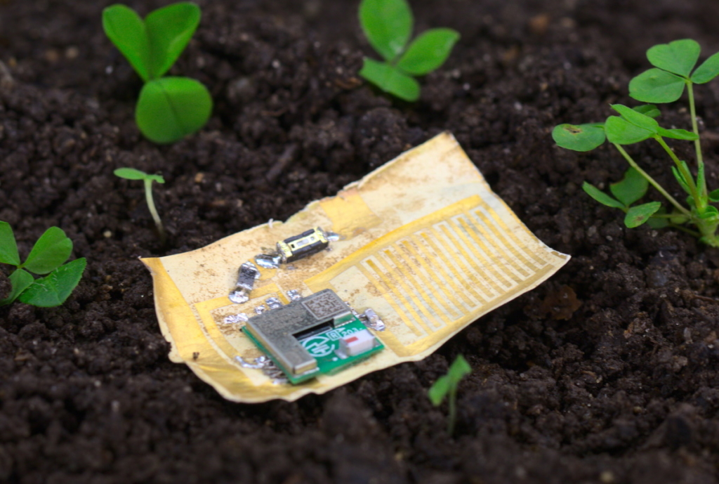 Mushroom-based substrates create flexible and sustainable electronics ...