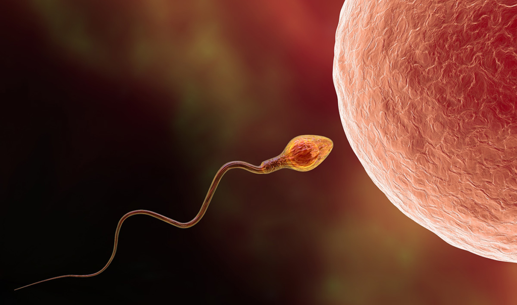 The surprising physics of babies: how we’re improving our understanding ...