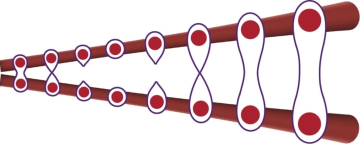 Energy-time entanglement detected in photons – Physics World
