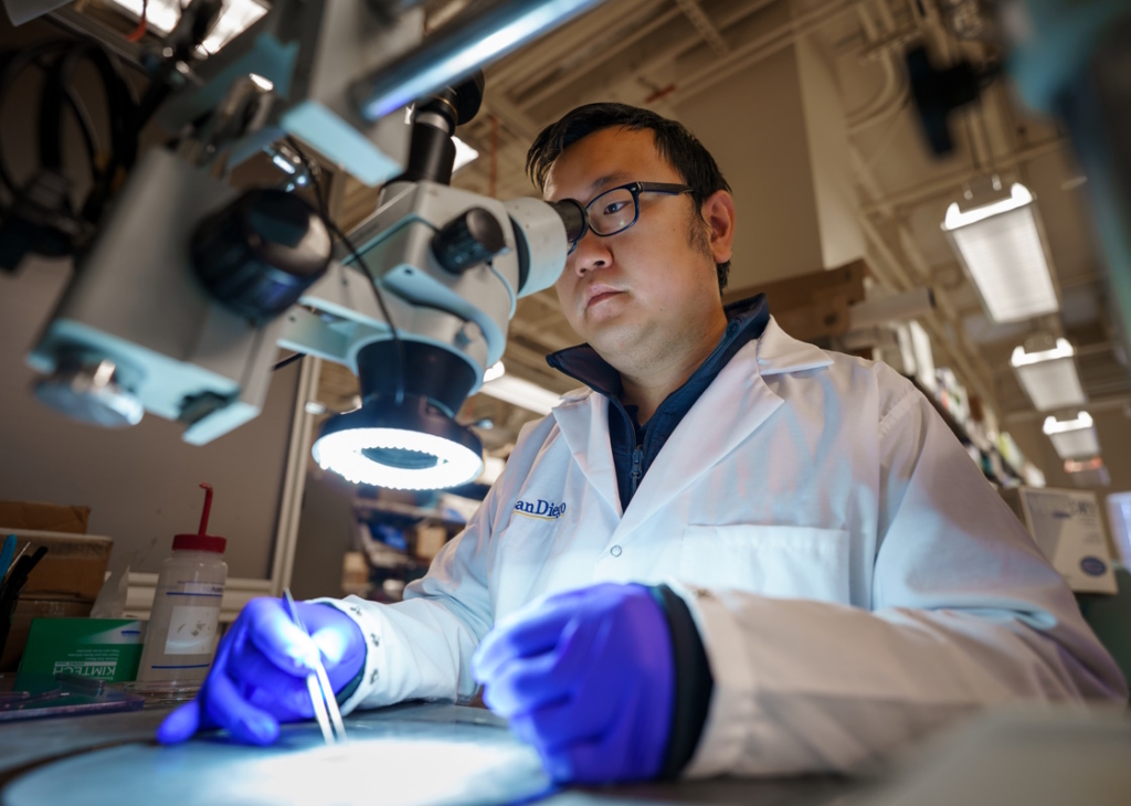 Wireless ultrasound monitor is ready for a workout – Physics World