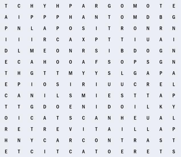 Need a challenge? Try this cryptic medical-physics word search ...