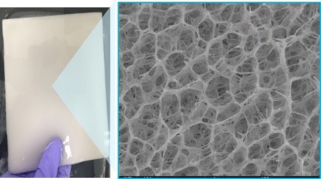 Solar-driven hydrogel purifies contaminated water – Physics World