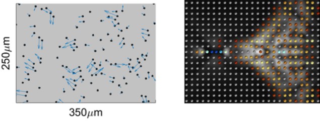 Quasiparticles appear in a classical setting, surprising physicists ...