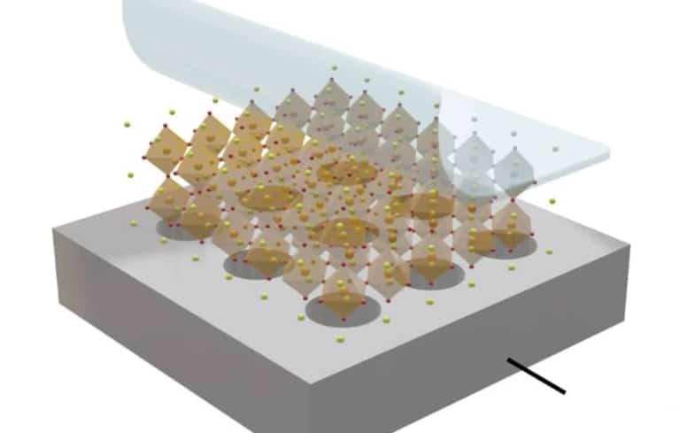 Ferroelectric polymer goes elastic – Physics World