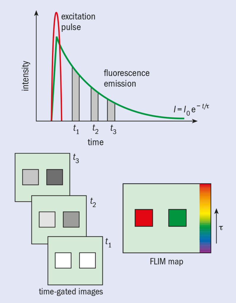 Biomedical optics – Physics World