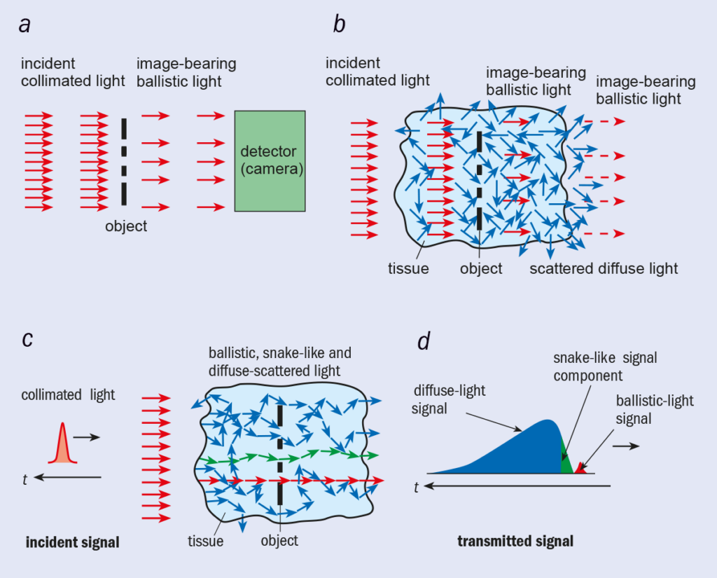 Biomedical optics – Physics World