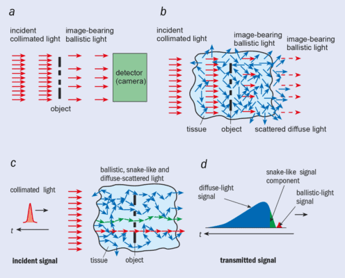 Biomedical optics – Physics World