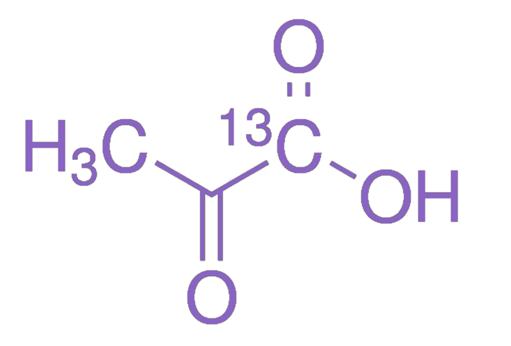 Dynamic Nuclear Polarization How A Technique From Particle Physics Is