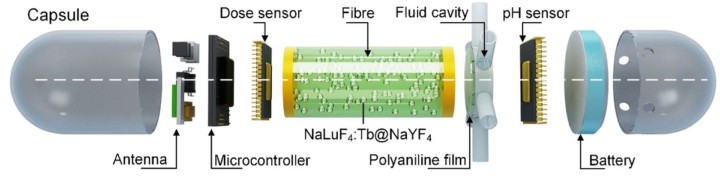 Swallowable X-ray dosimeter monitors radiotherapy in real time ...