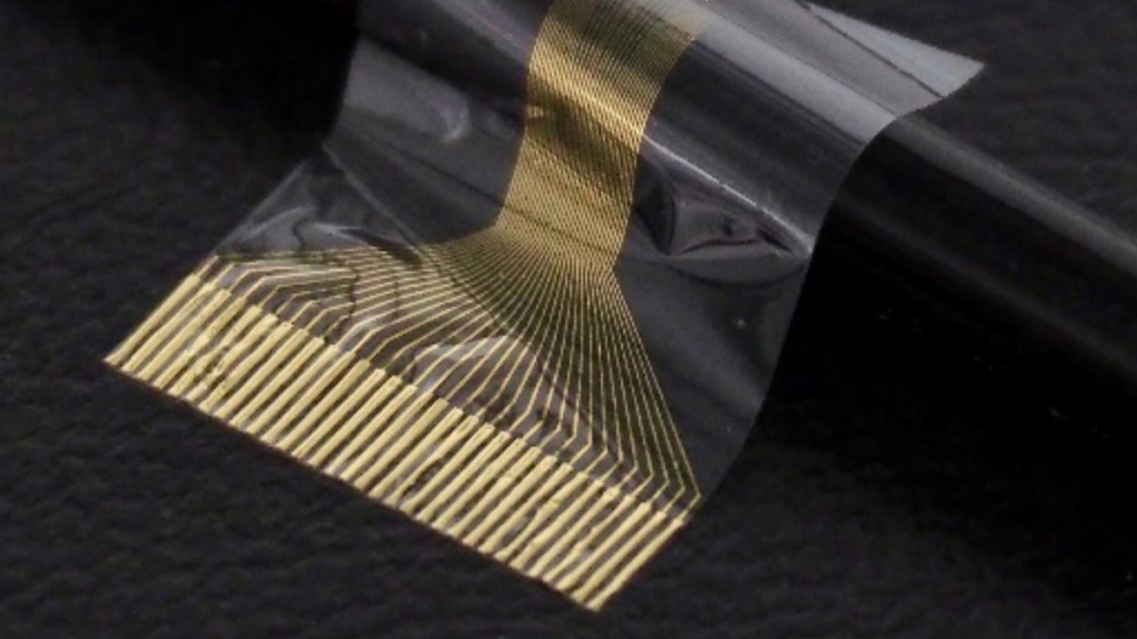 Neural engineering Archives – Physics World