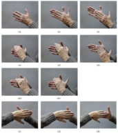 The physics of hand clapping: here’s how to do it best – Physics World