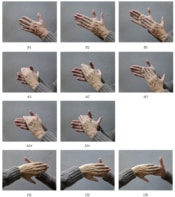 The physics of hand clapping: here’s how to do it best – Physics World