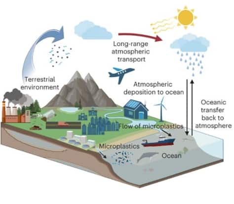 Microplastics with elongated shapes travel further in the environment ...