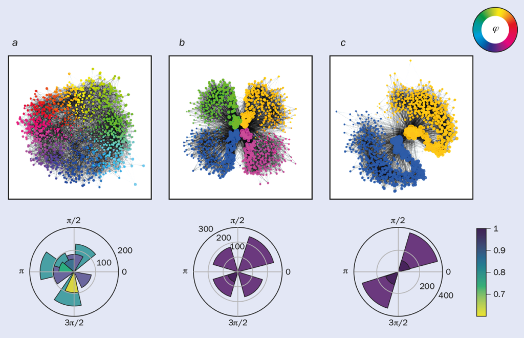 The laws of division: physicists probe into the polarization of ...