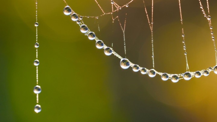 Water drops bounce into action – Physics World