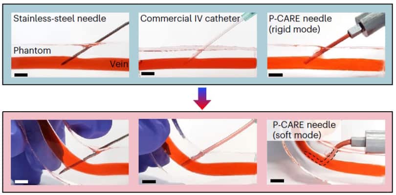 Smart intravenous needle softens upon insertion into a blood vessel ...