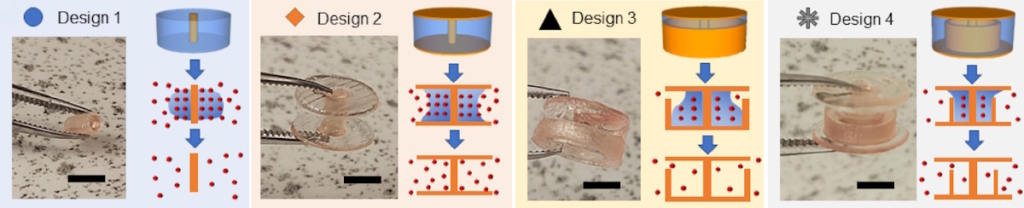 3D printing creates personalized pharmaceuticals – Physics World