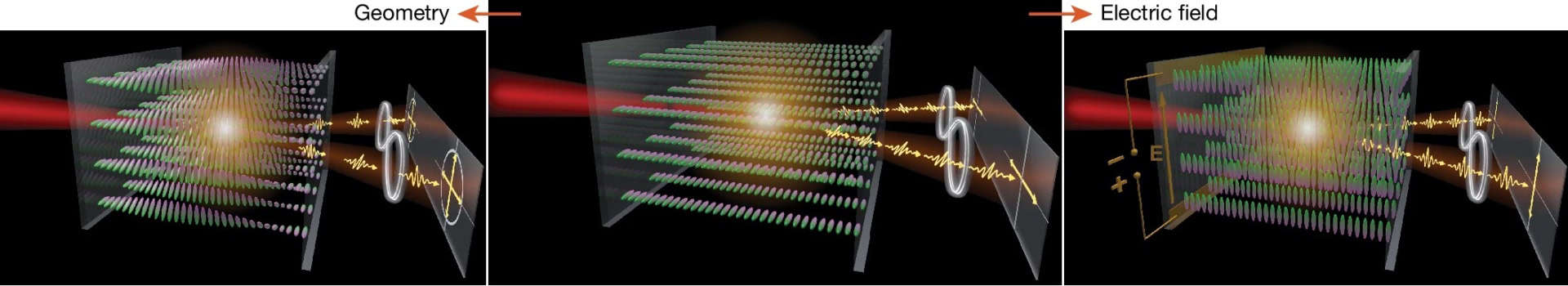 Liquid crystals generate entangled photon pairs – Physics World