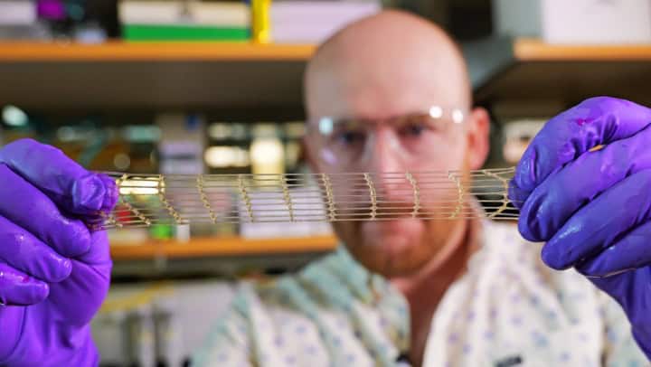 The past, present and future of 3D bioprinting – Physics World