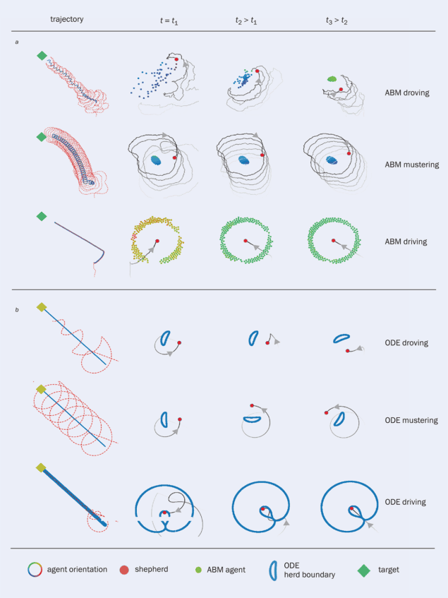 Field work – the physics of sheep, from phase transitions to collective ...