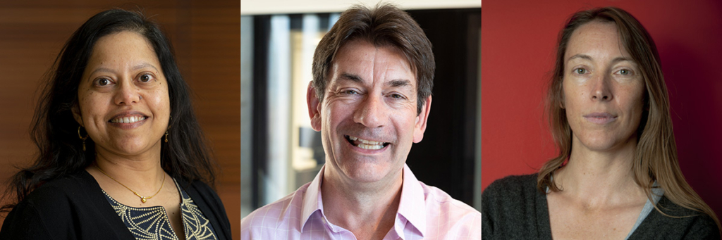 Particle and nuclear physics highlights in 2024: celebrating the past ...