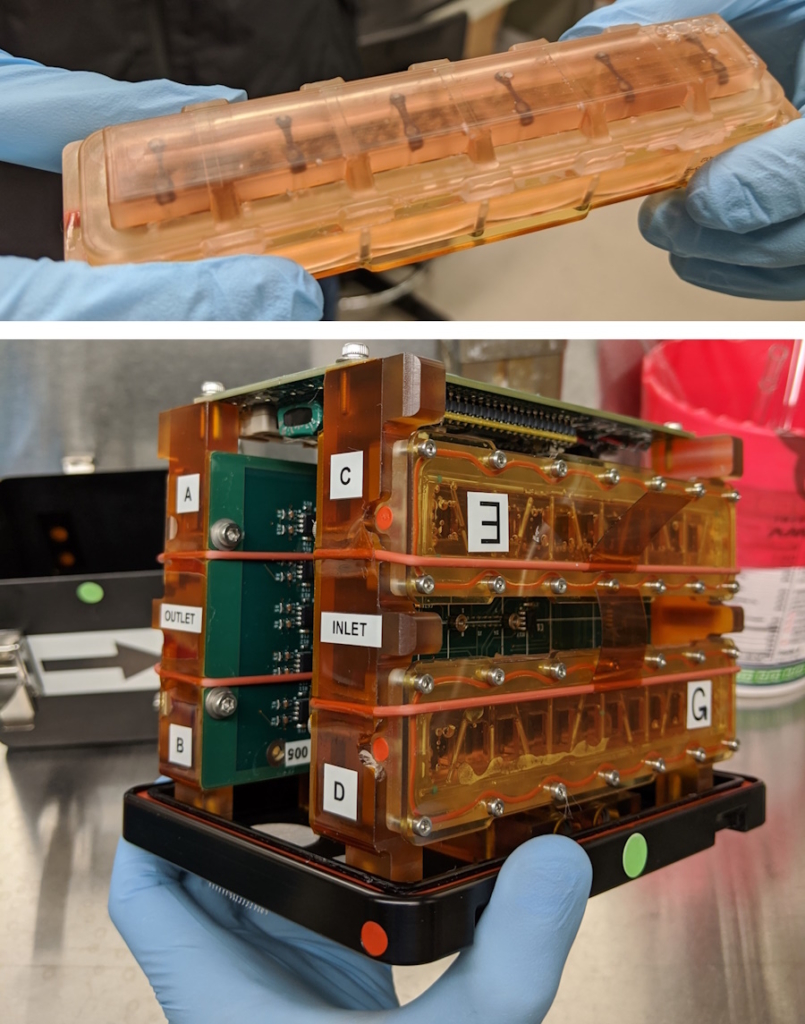 Heart-on-a-chip reveals impact of spaceflight on cardiac health ...