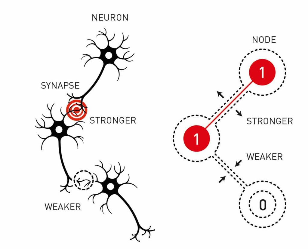 John Hopfield and Geoffrey Hinton share the 2024 Nobel Prize for ...